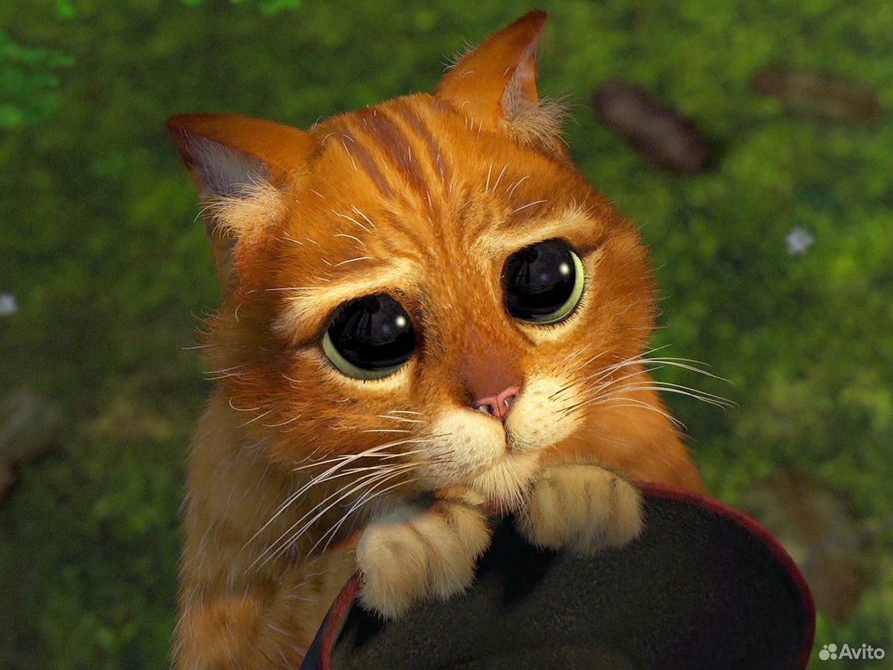 Отдам в хорошие руки