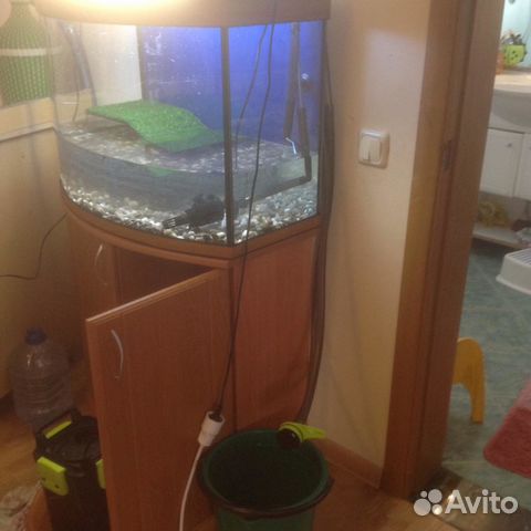 Панорам акватеррариум с плотом, уф, тумбой,фильтр