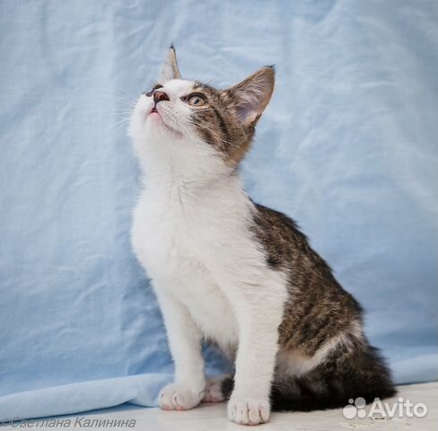 Особенный мальчик Платон ищет дом