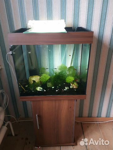 Аквариум на 120л