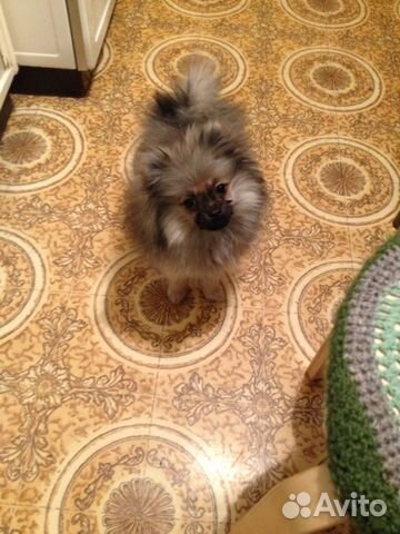 Супер девочка