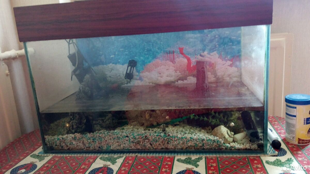 Аквариум