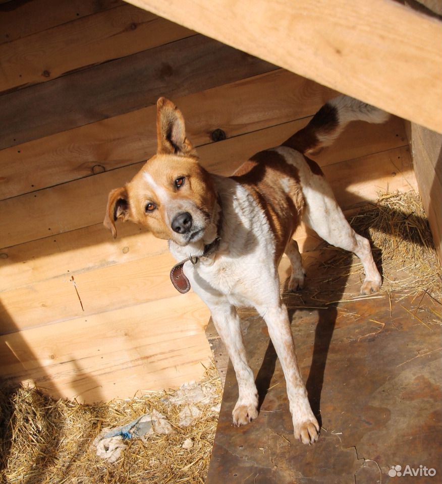 Пристраиваем Грома