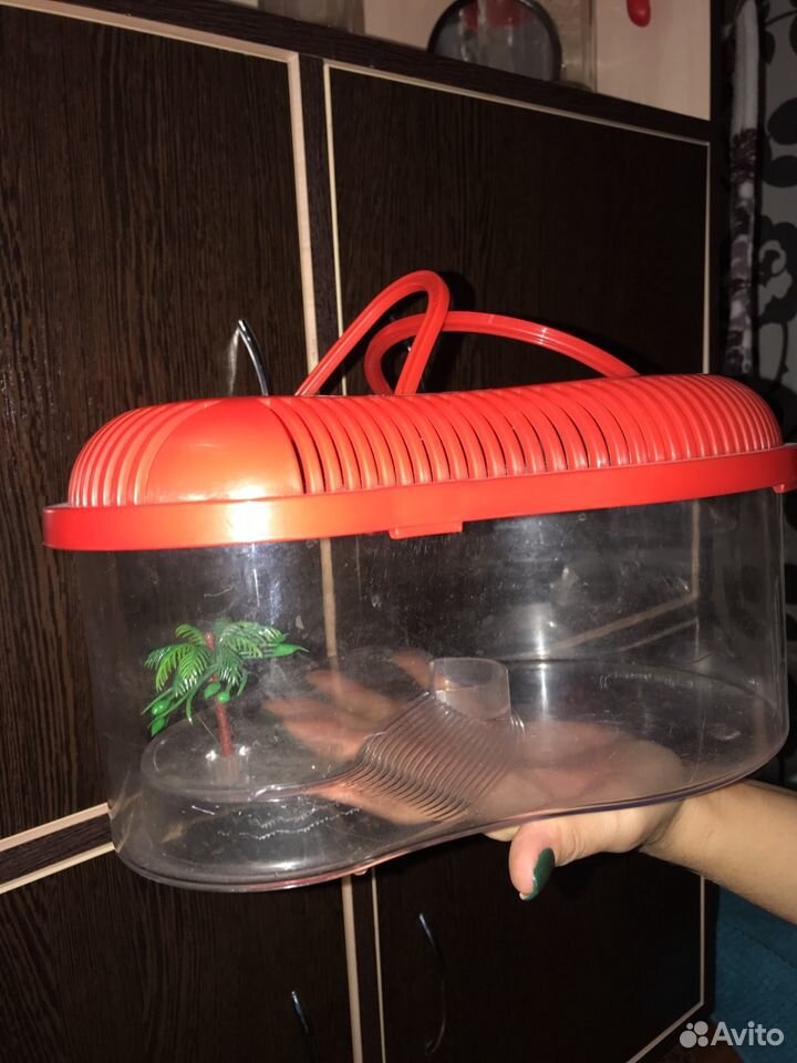 Пластмассовый аквариум для черепах