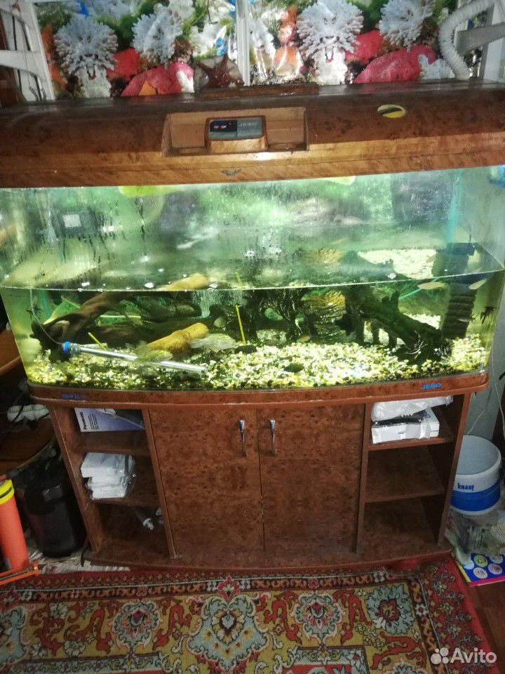 Аквариум