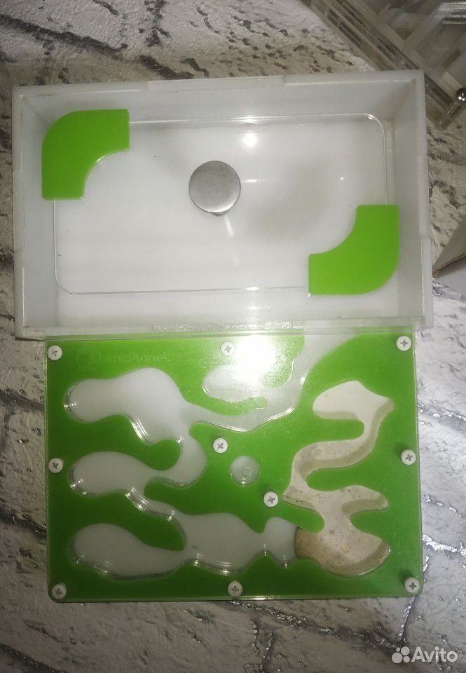 Формикарий для муравьёв