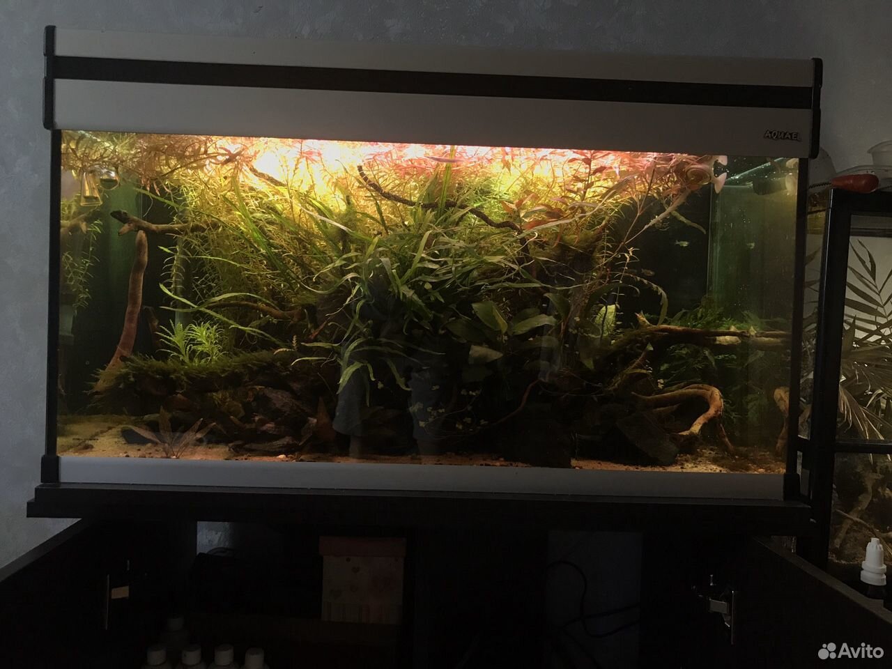 Прополка из аквариума