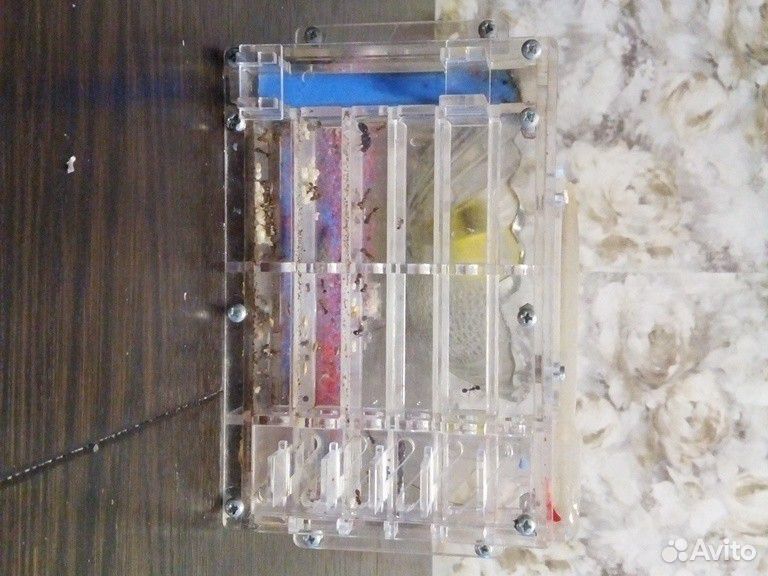 Фурмикарий