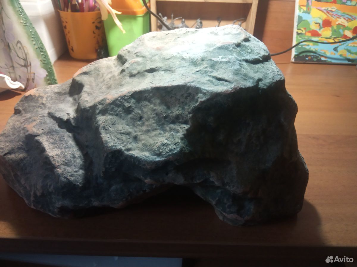 Бережок для черепахи