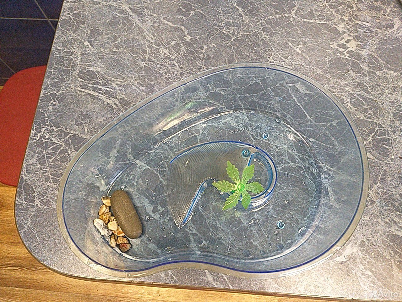 Аквариум для черепашек, б/у