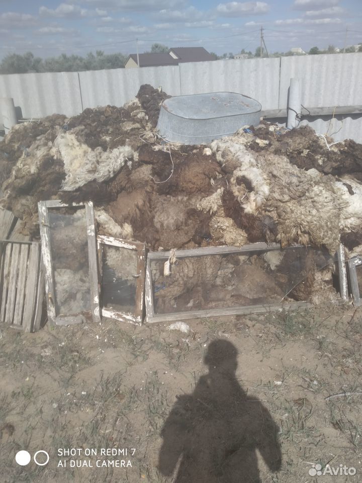 Шерсть овец