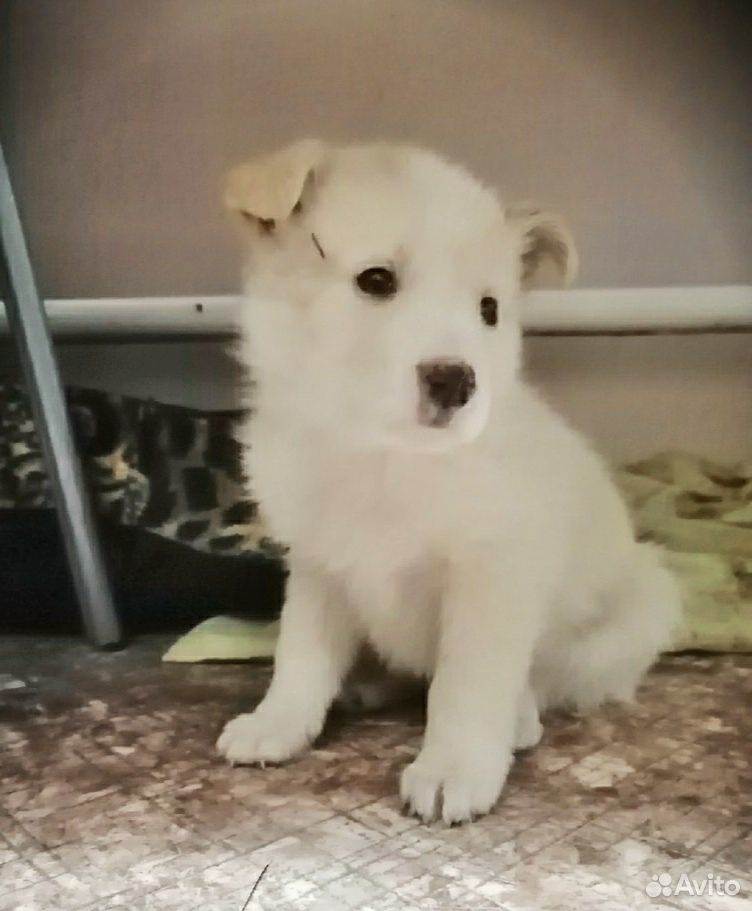 Две девочки малышки