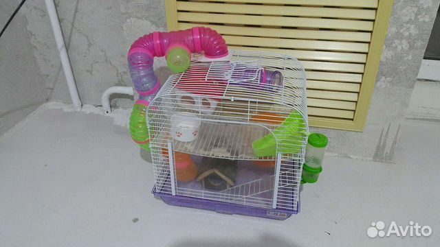 Джунгарский хомяк с двухэтажной клеткой