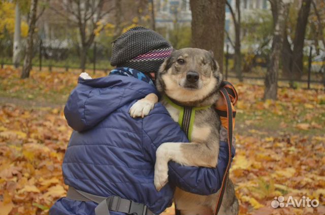Глаша-собака с неограниченными возможностями