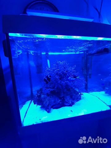 Морской аквариум