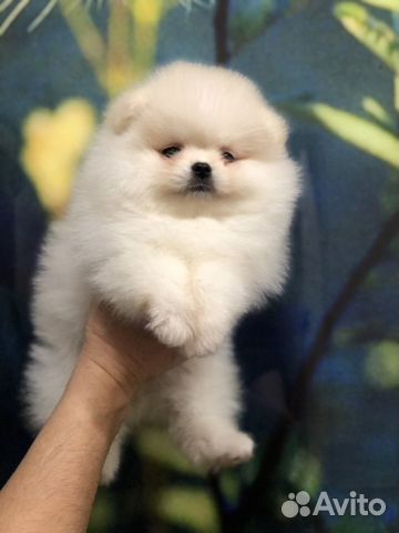 Красивые детки