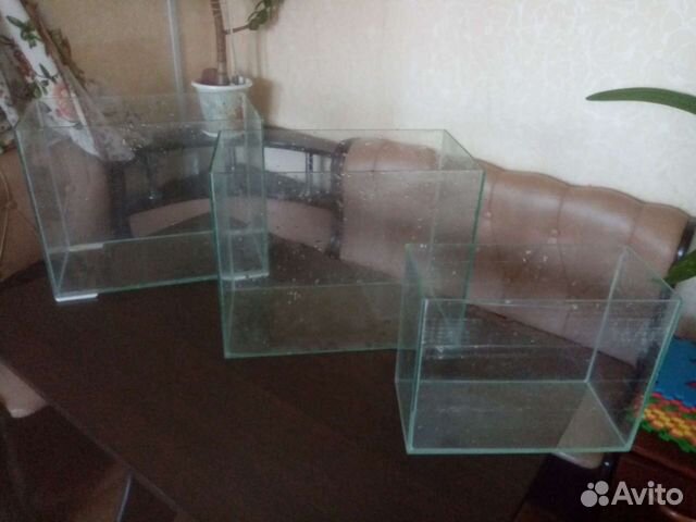 Аквариум