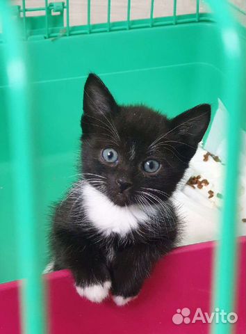 Самый красивый парнишка