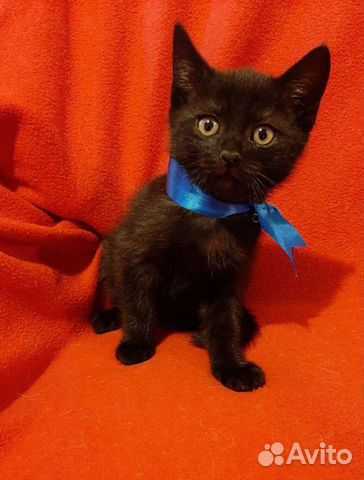 Сладкий малыш 1.5 мес