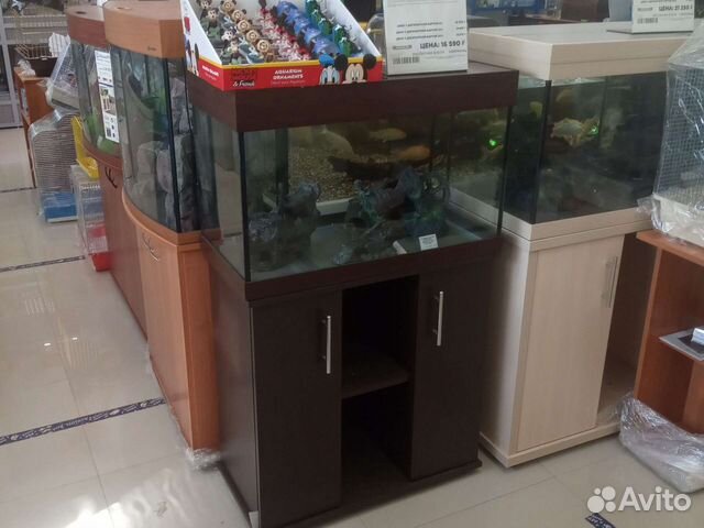 Аквариумы и Террариумы