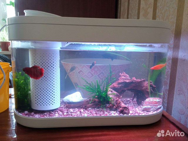 Аквариум Xiaomi Geometry Fish Tank