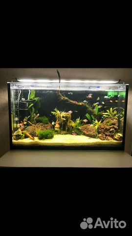 Аквариум