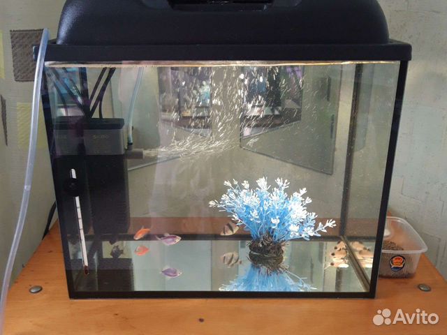 Аквариум