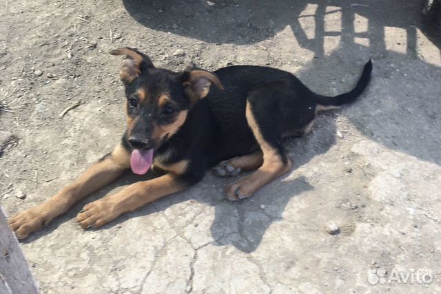 Кнопка, кнопка