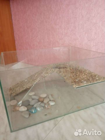 Аквариум для черепах