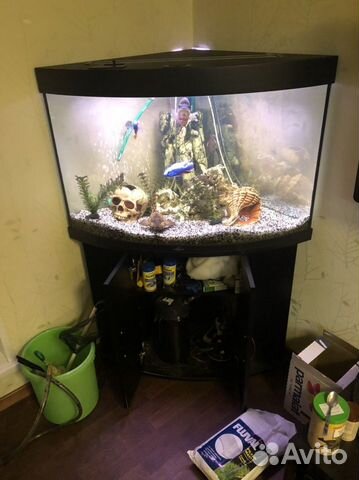 Аквариум Bio Design