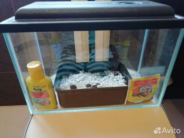 Аквариум с набором для запуска петушка