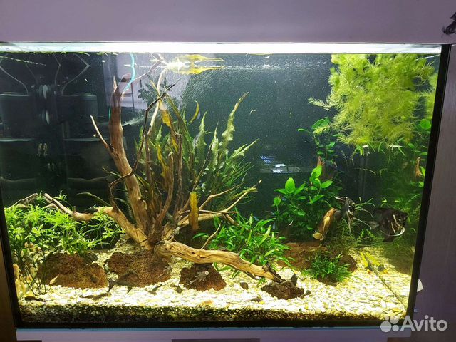 Аквариум