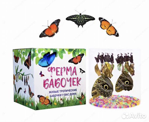 Мини-ферма живых тропических бабочек