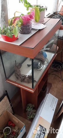 Аквариум 120 литров с тумбой