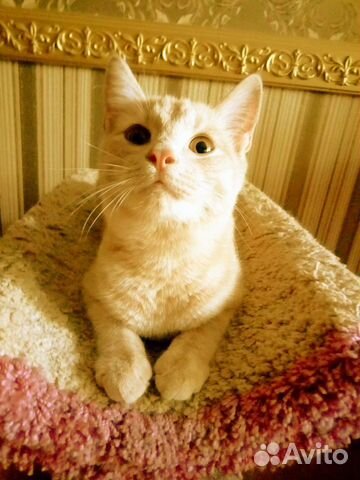 Мальчик красавчик