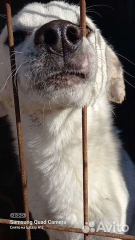 Умка ждет тебя