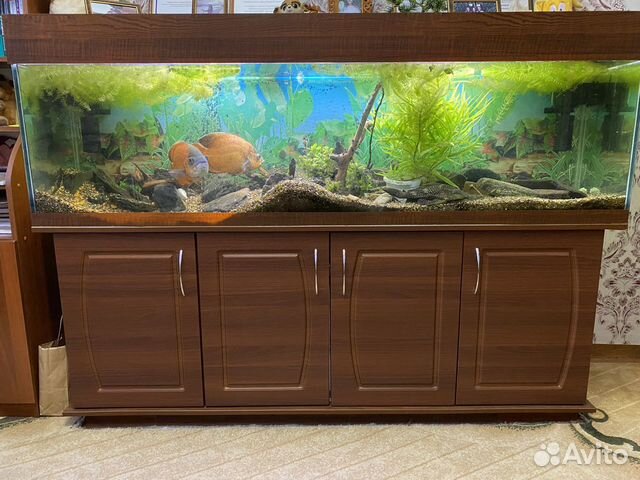 Продам аквариум 450л