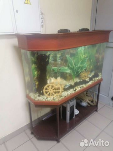 Аквариум