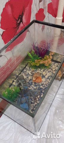 Аквариум