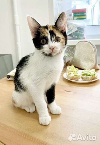 Маленькая Сонечка