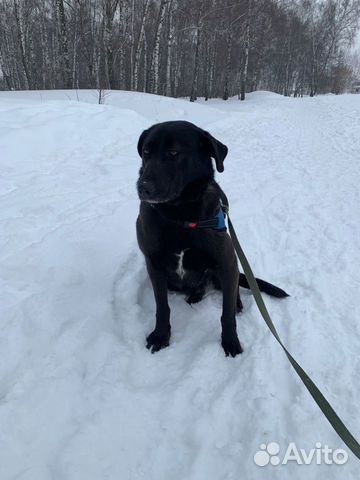 Самая нежная Нала