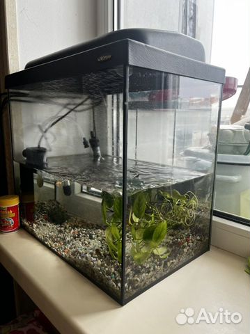 Аквариум