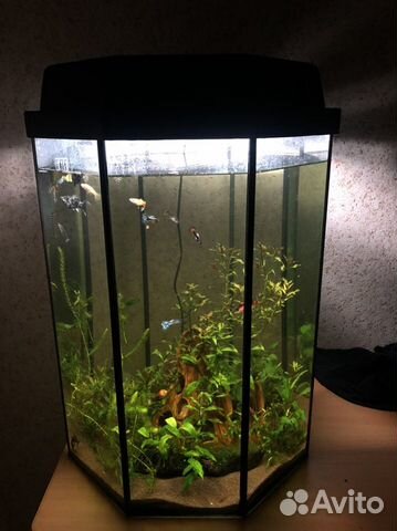 Аквариум под ключ 120 литров