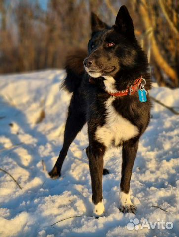Шикарный молодой Найт, добрейший парень
