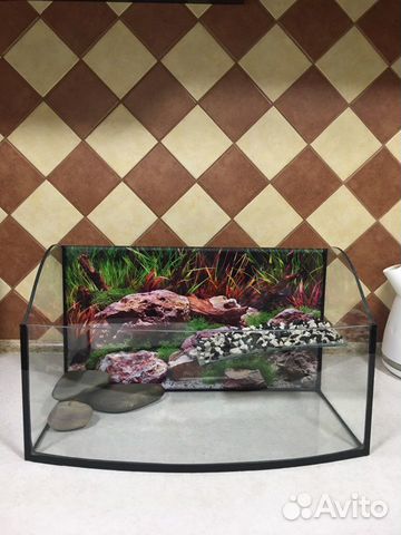 Аквариум черепашник
