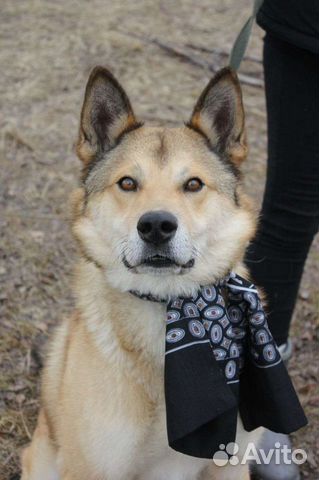 Большой друг хорошему человеку