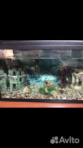 Аквариум
