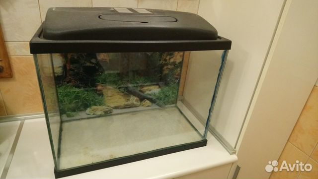 Аквариум