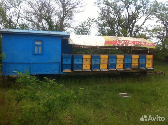 Пчёлы, передвижная пасика