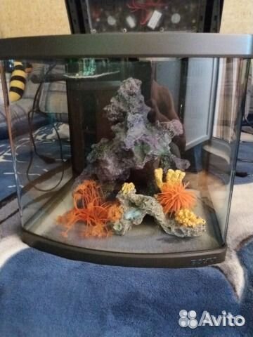 Морской аквариум boyu